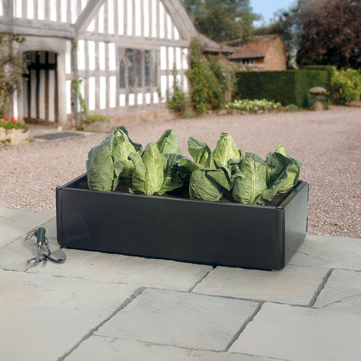Garland Mini Grow Raised Bed - W98cm x D51cm – Greenfingers