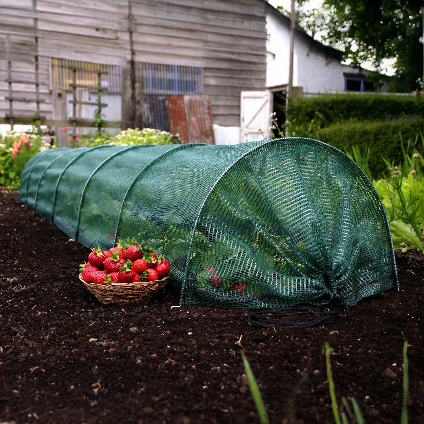 Haxnicks Giant Easy Net Tunnel - 300cm – Greenfingers